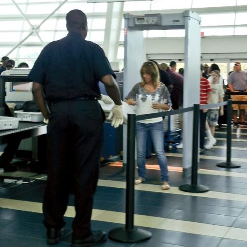 SMD600 - CEIA Walk-Through Metal Detector - Point Security